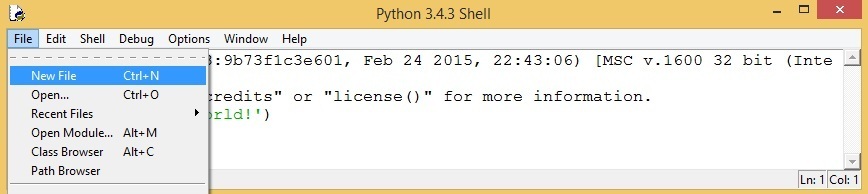 Write Your First Program Python