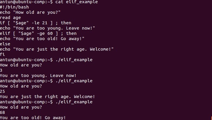 If Statement Linux