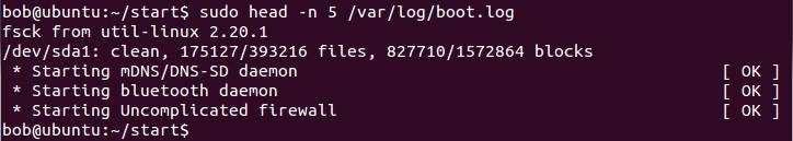 Display First Lines Of A Text File Linux 