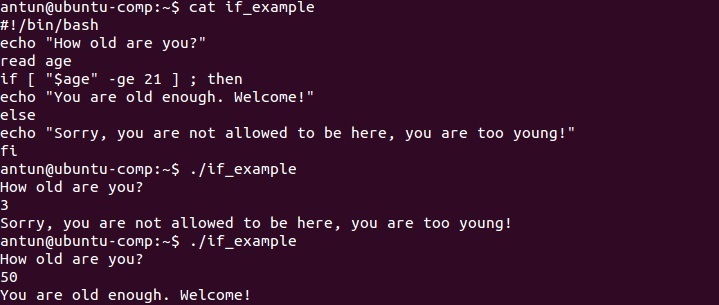 If Statement Linux