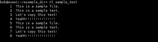 Number Lines In A File Linux