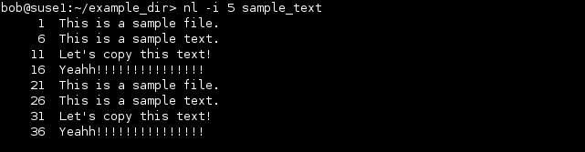 Number Lines In A File Linux 