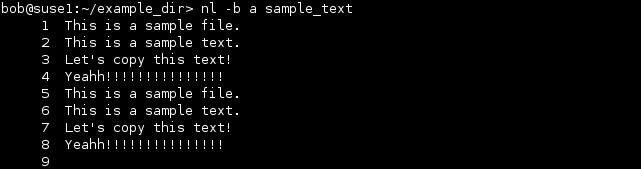 Number Lines In A File Linux 
