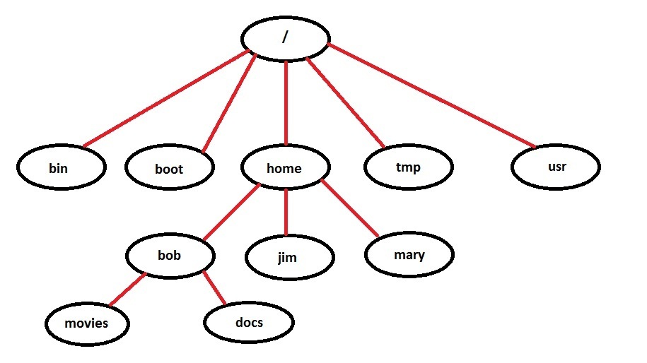 Manage Directories Linux