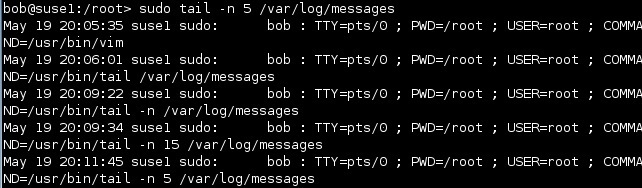 Display Last Lines Of A Text File Linux