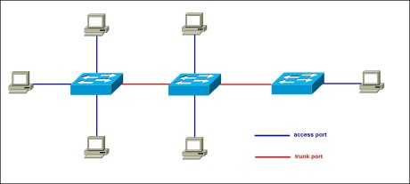 Access and trunk ports explained | CCNA#