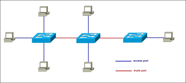 Access and trunk ports explained | CCNA#