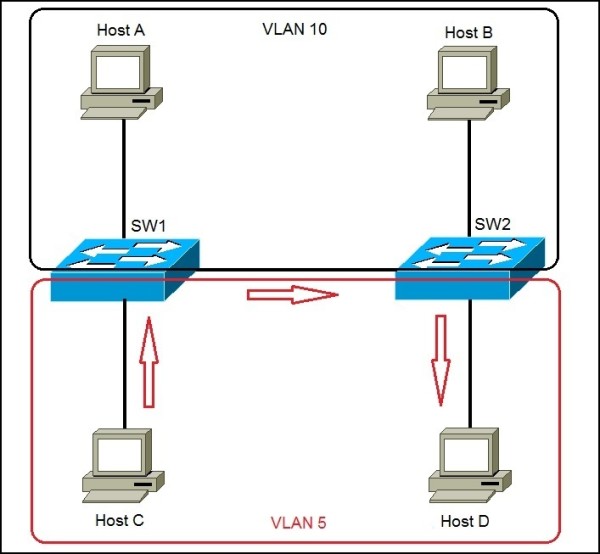 Frame tagging explained | CCNA#