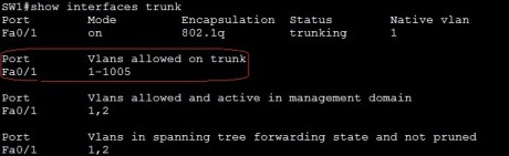 Configure allowed VLANs on trunk | CCNA#