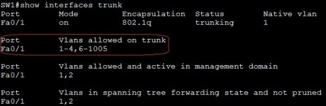 Configure allowed VLANs on trunk | CCNA#