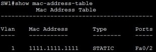 Assign static MAC address | CCNA#