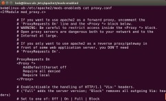 Configure Apache as a forward proxy | Apache#