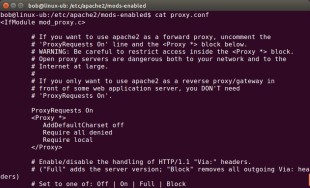 Configure Apache as a forward proxy | Apache#