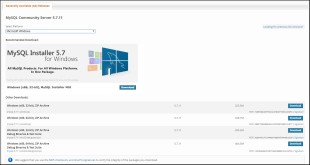 Install MySQL on Windows | MySQL#