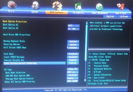Enabling VT-x | VMware Workstation Player#