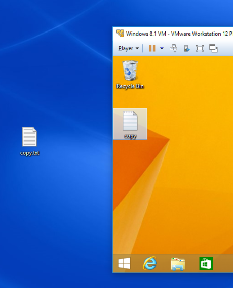 Copy and Paste | VMware Workstation Player#
