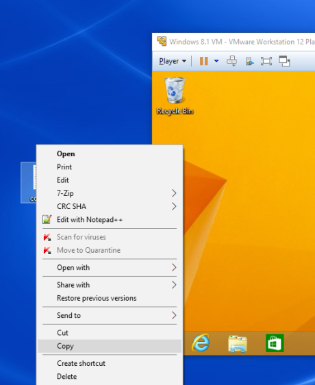 Copy and Paste | VMware Workstation Player#