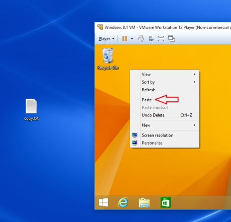 Copy and Paste | VMware Workstation Player#