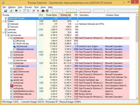 Default Procexp tree view | Process Explorer#