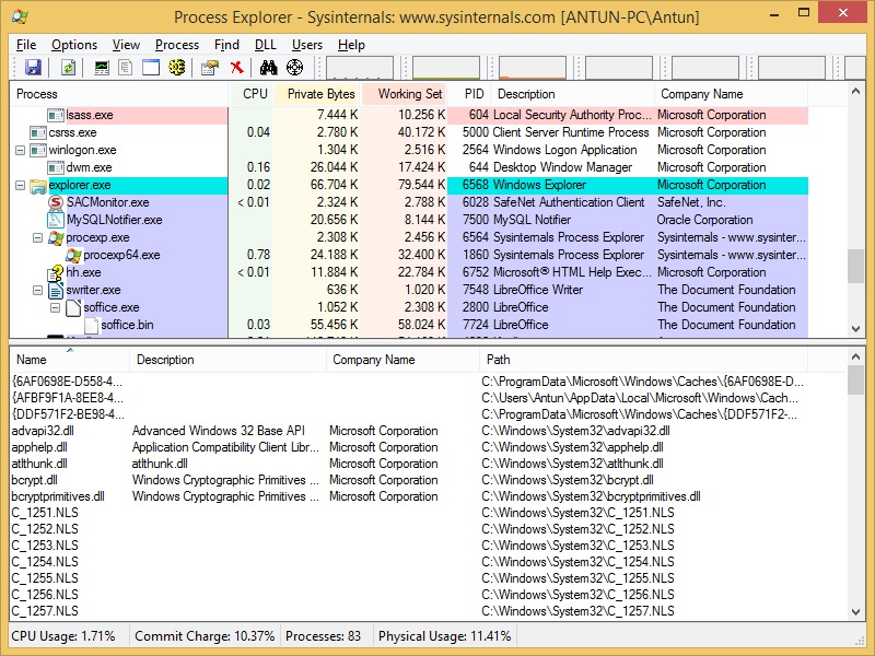 DLL View Process Explorer 