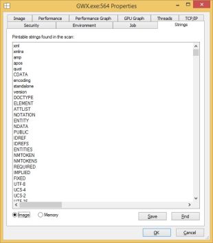Strings tab | Process Explorer#